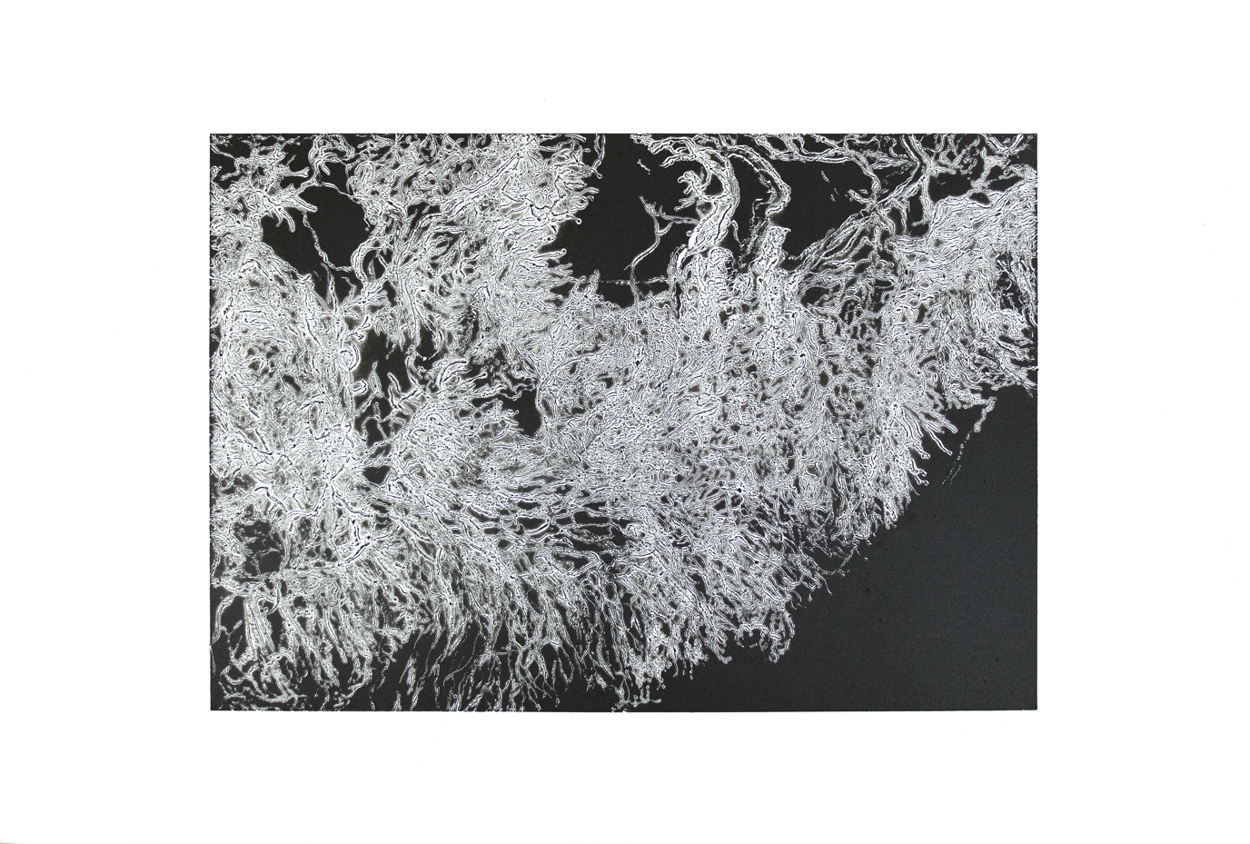 Floating Pulse 1 | Tolman Collection of Tokyo